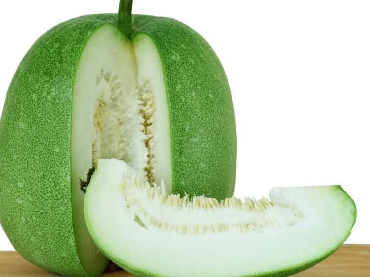 Ash gourd juice – benefits and uses – Madraz Buzz